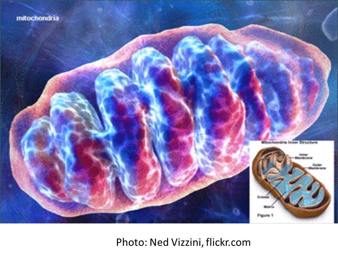 What’s the Matter with Midichlorians – Clone Corridor
